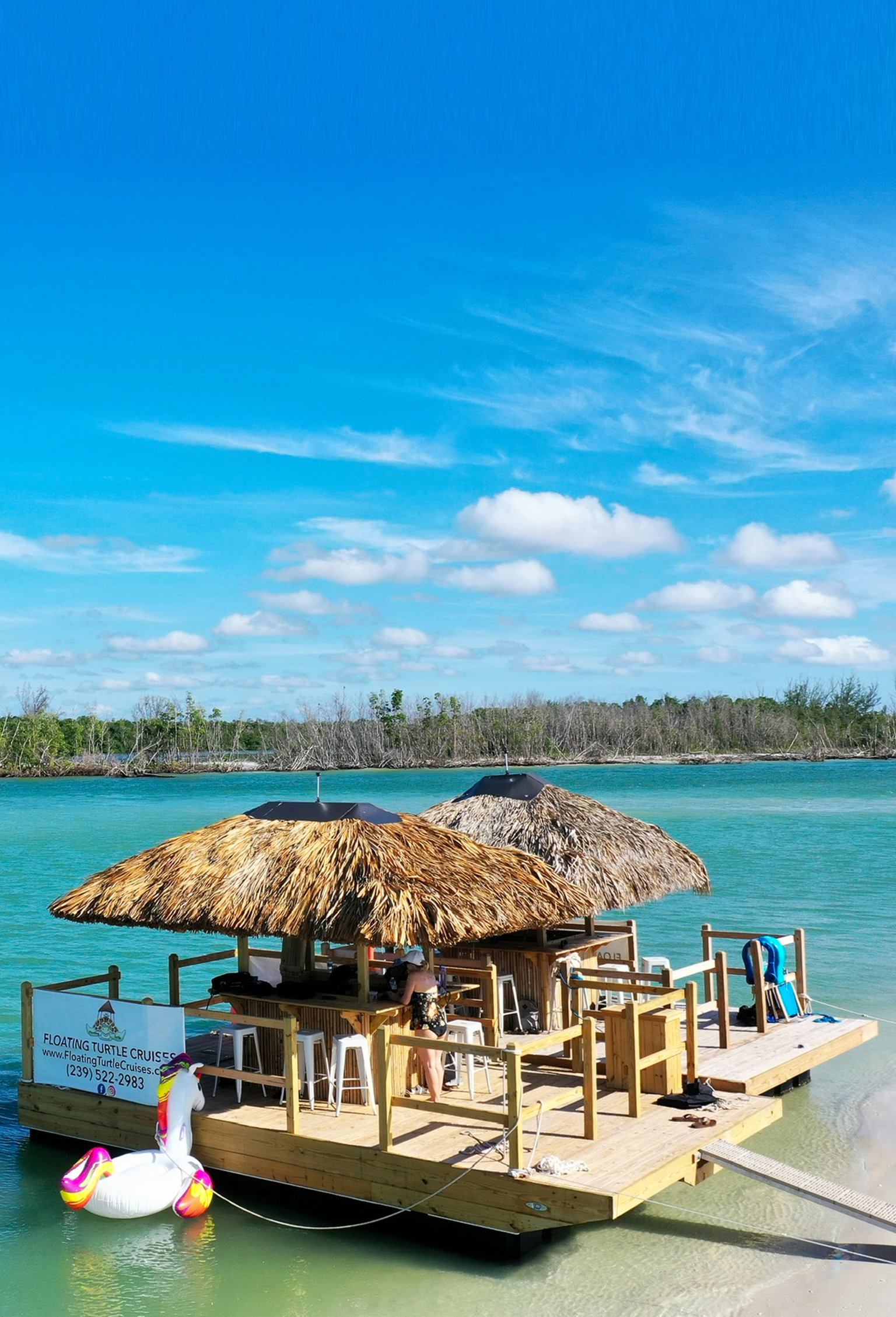 The Turtles - Floating Turtle Cruise