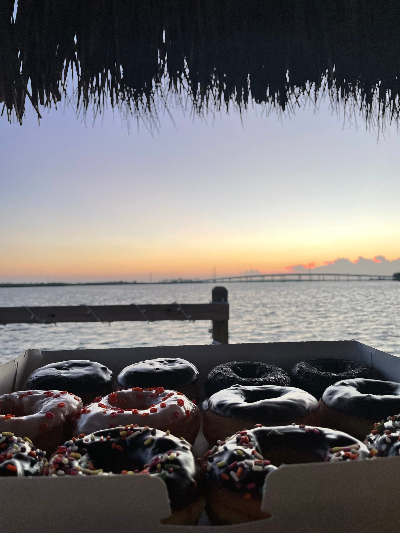 Trips & Packages - Floating Turtle Cruise